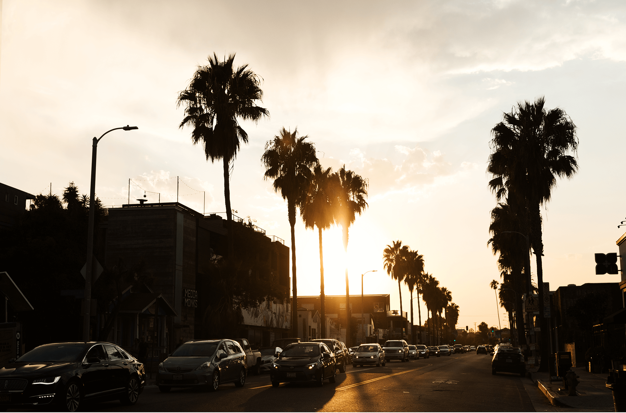 Neighborhood Guide: Abbot Kinney – Garrett Leight